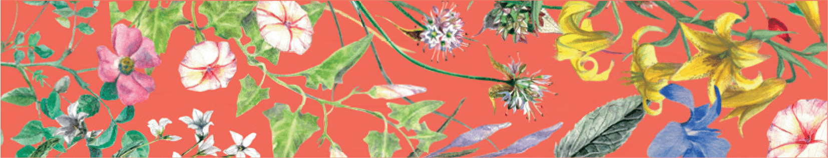 Sirius Talent Summit