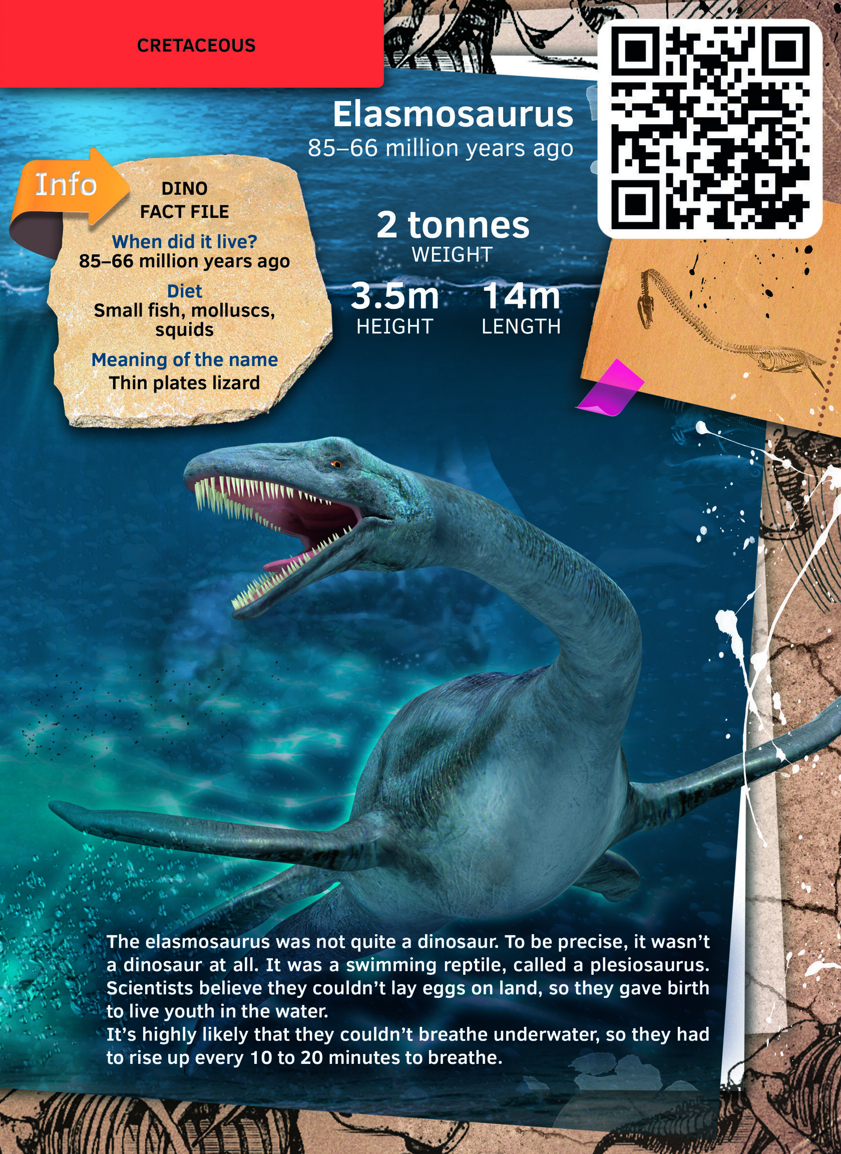 Elasmosaurus