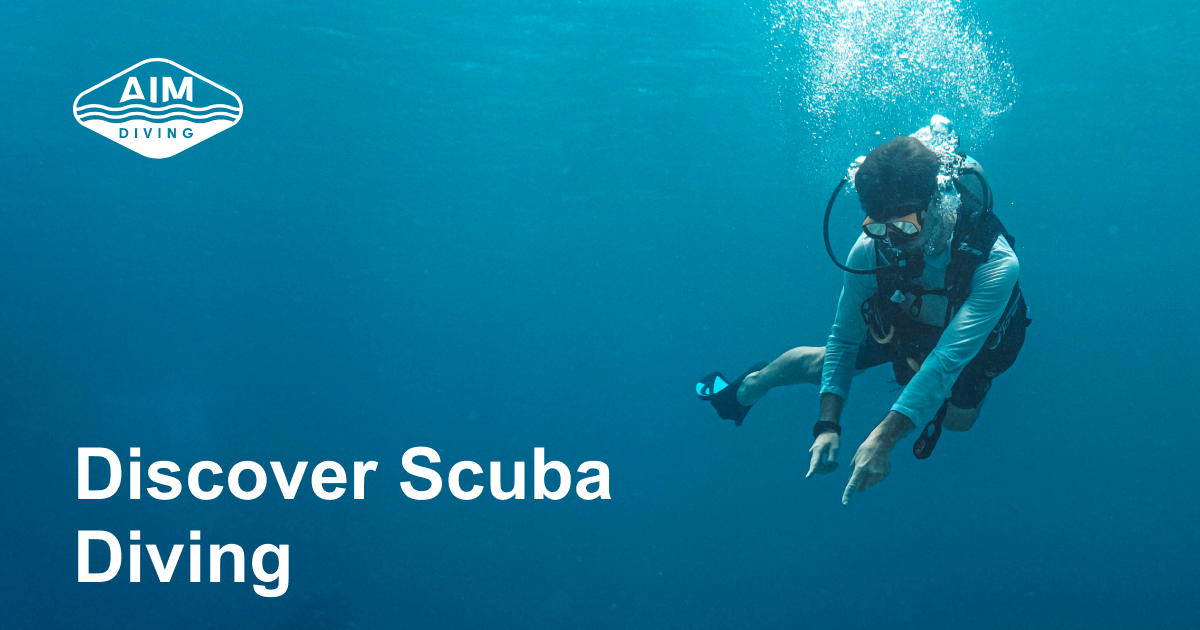 AIM Diving — Дайвинг для тех, кто погружается впервые (DSD)