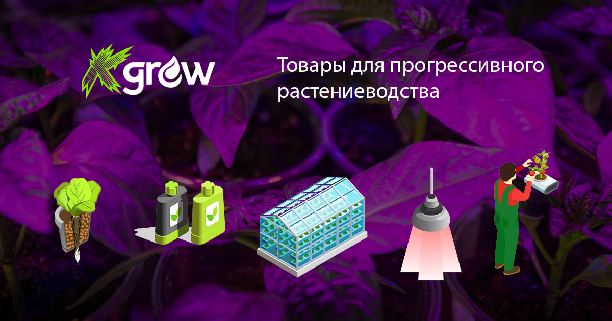 Главный Каталог