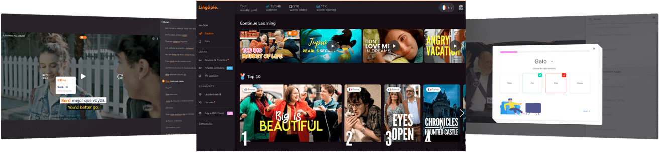 Lingopie for Teachers and Schools