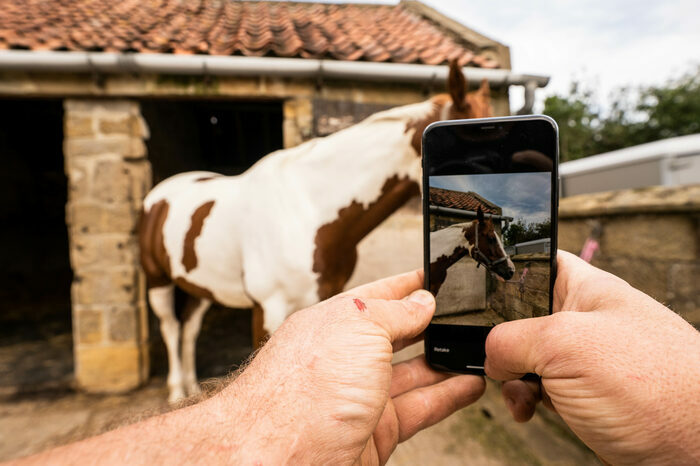 Guide to EQUINET Features