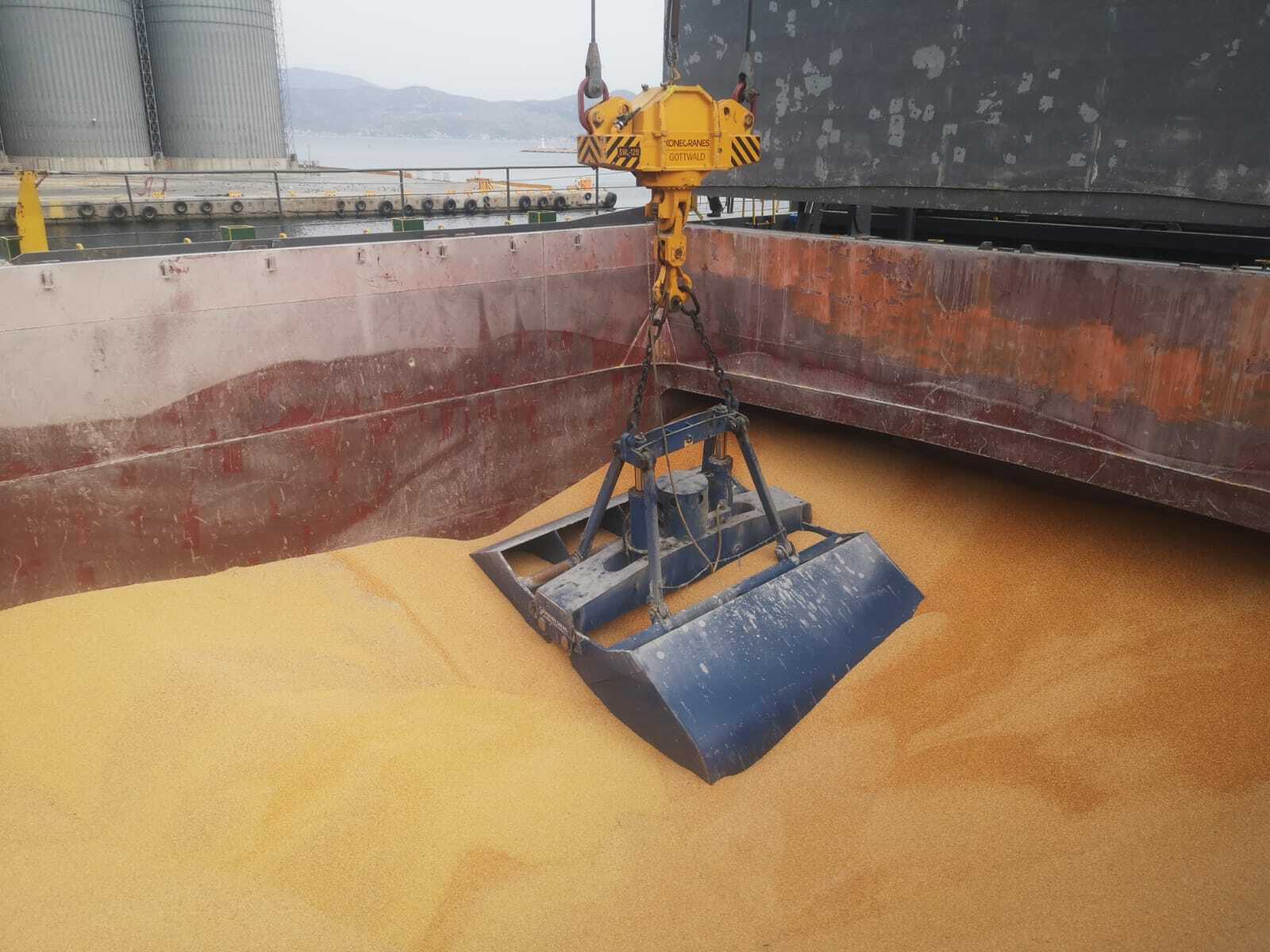 Corn shipment delivered to Turkey