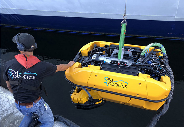 How robotics is changing the maritime industry and what kind of robots ...
