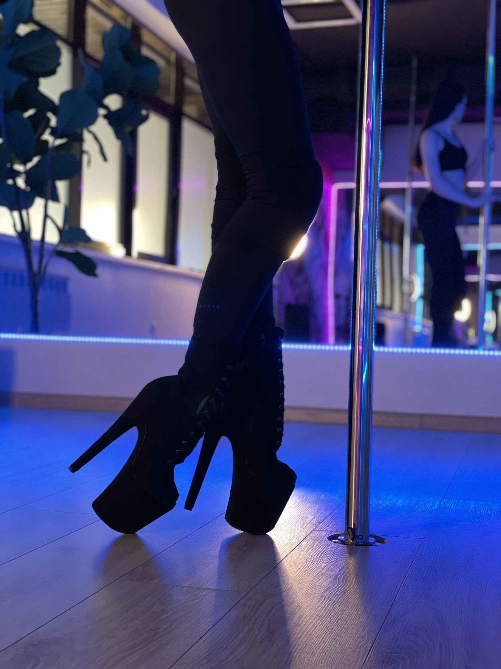 Тренировки Экзотический пол дэнс в студиях LEEK DANCE FIT Ставрополь