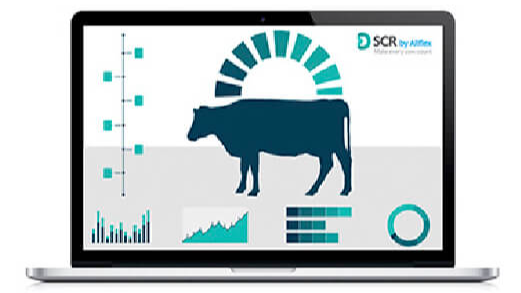 Virtual Team Advantages and Disadvantages for Business Owner