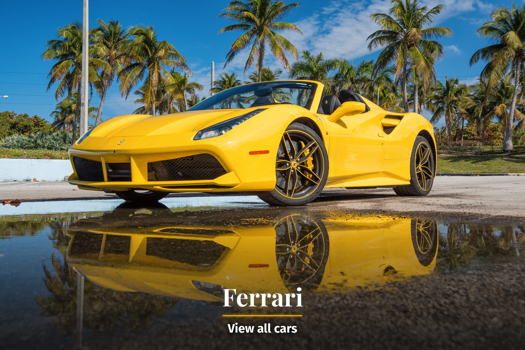 MHP Exotic Car Rentals Miami - Vip Personal Service