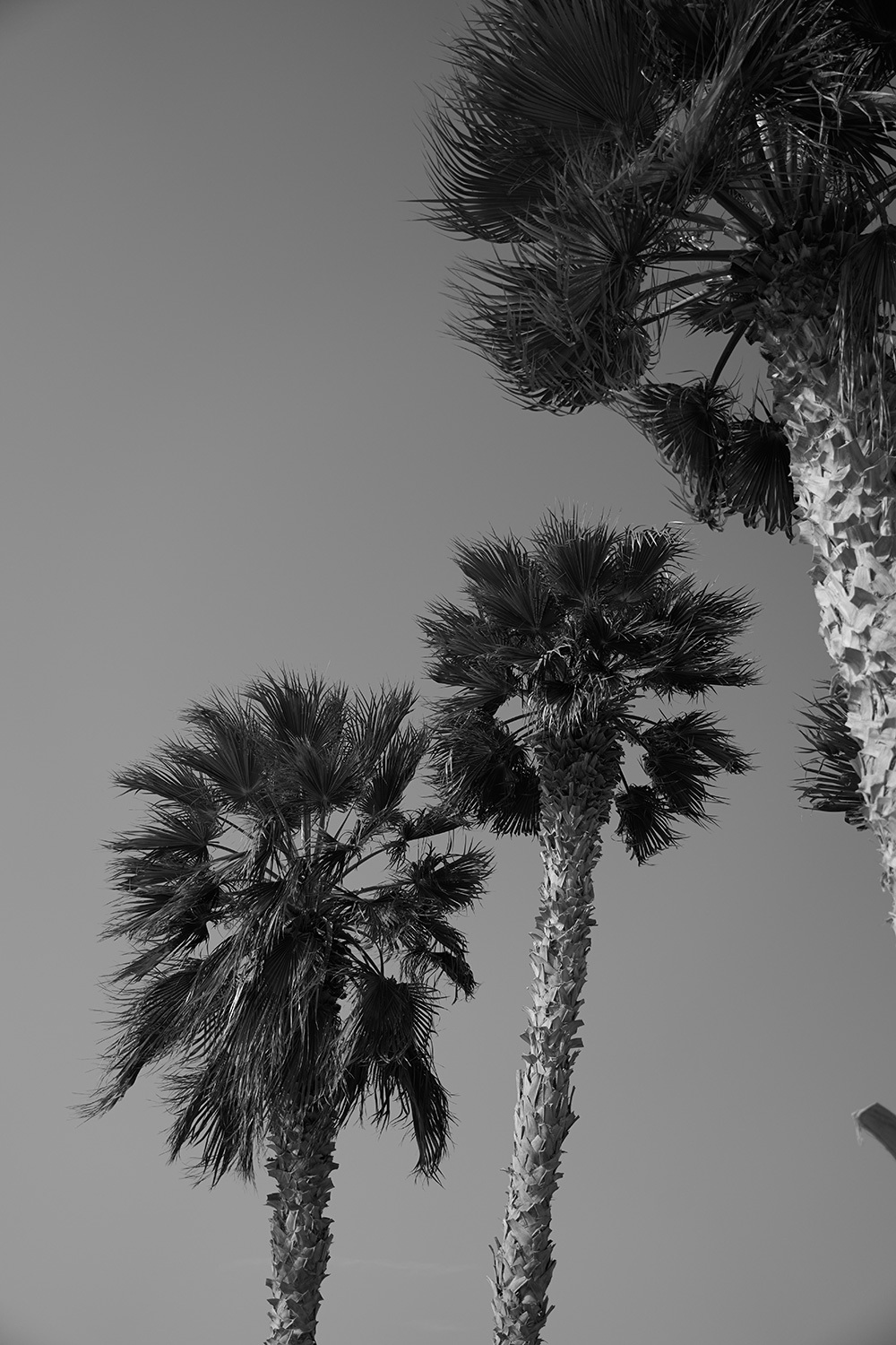 SENSIMA - Магазин купальников и одежды для отдыха