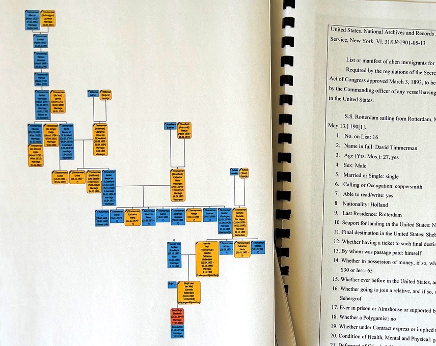Family tree creation | Custom genealogical chart