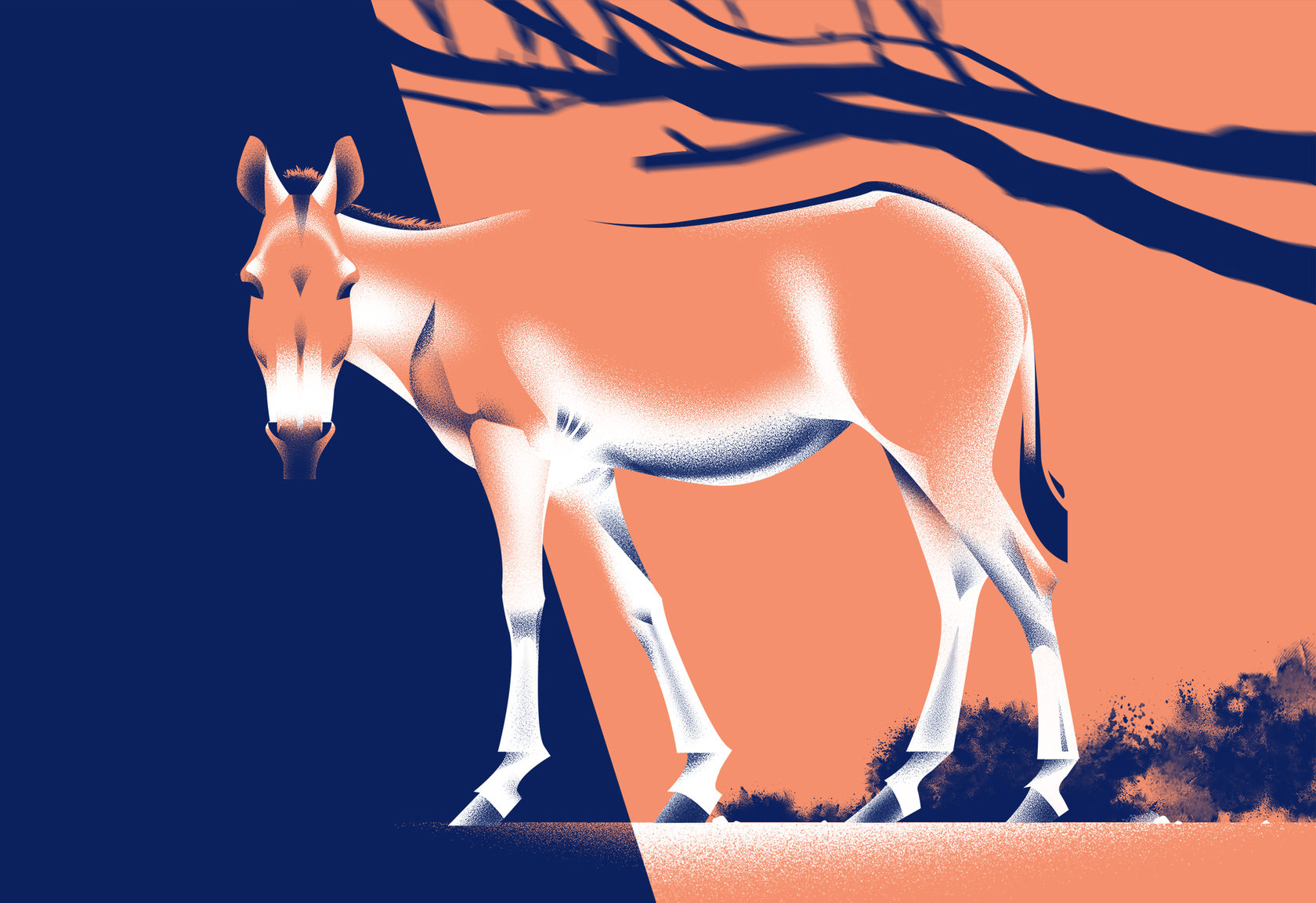 Daniel Shubin. Illustrator and character designer.