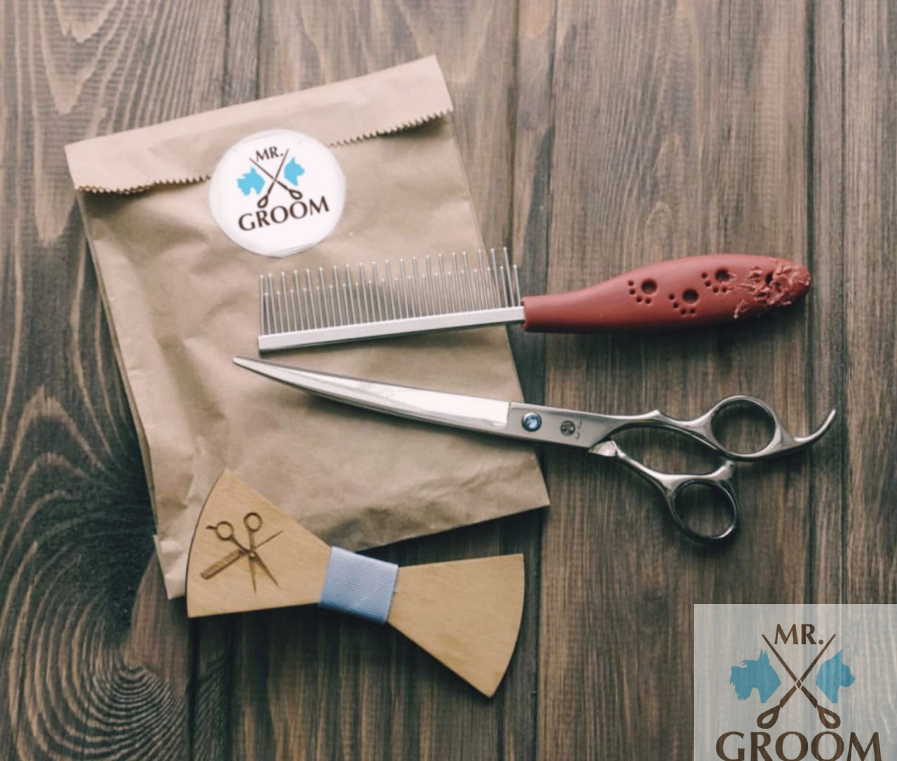 Блог пушистиков