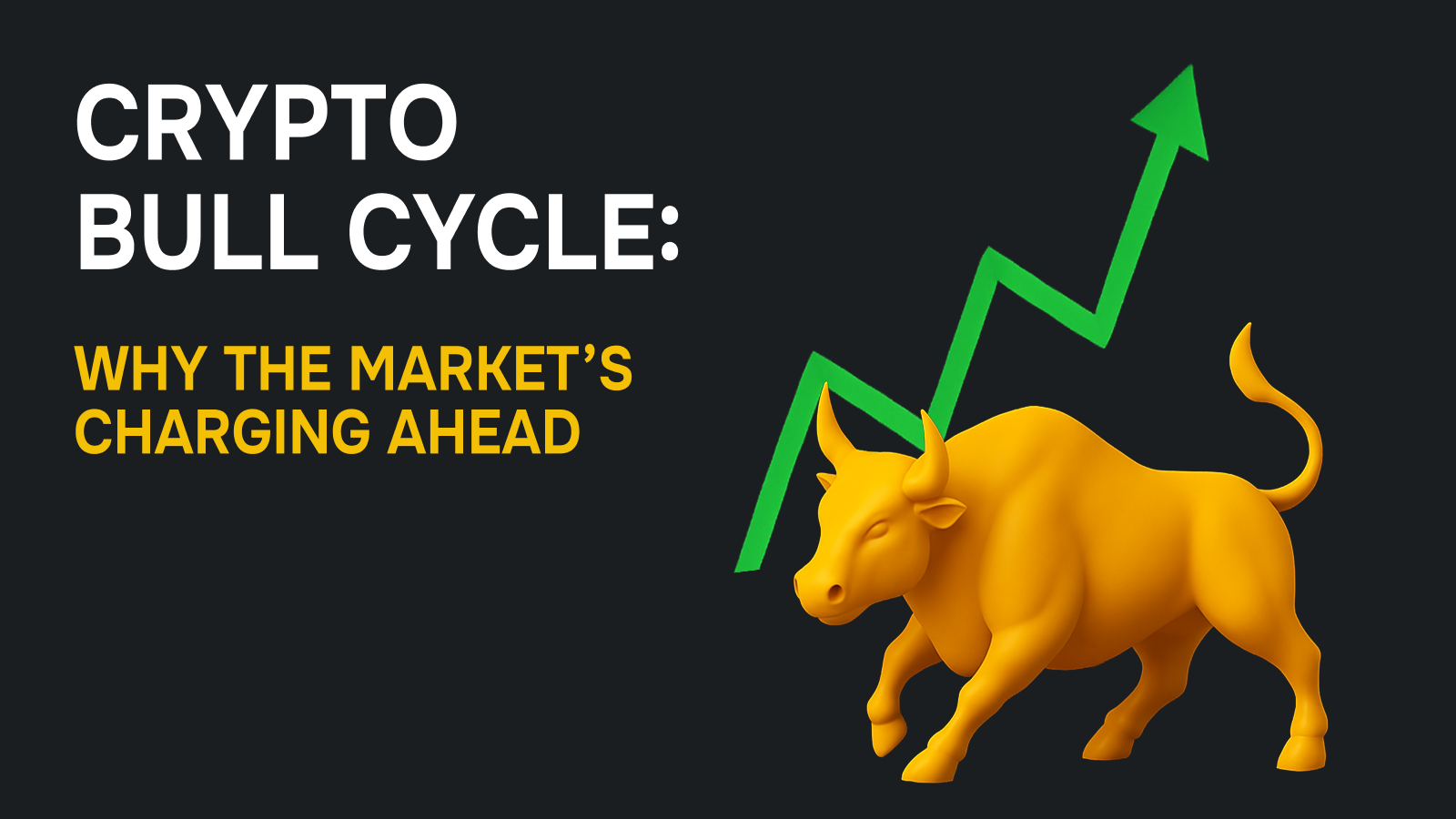 Crypto Bull Run: Full Guide, Market Phases & Easy Explanation