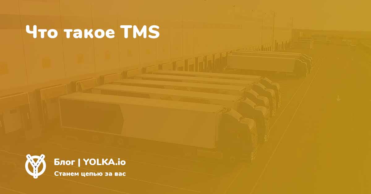 Что такое TMS от Йолка? | Yolka