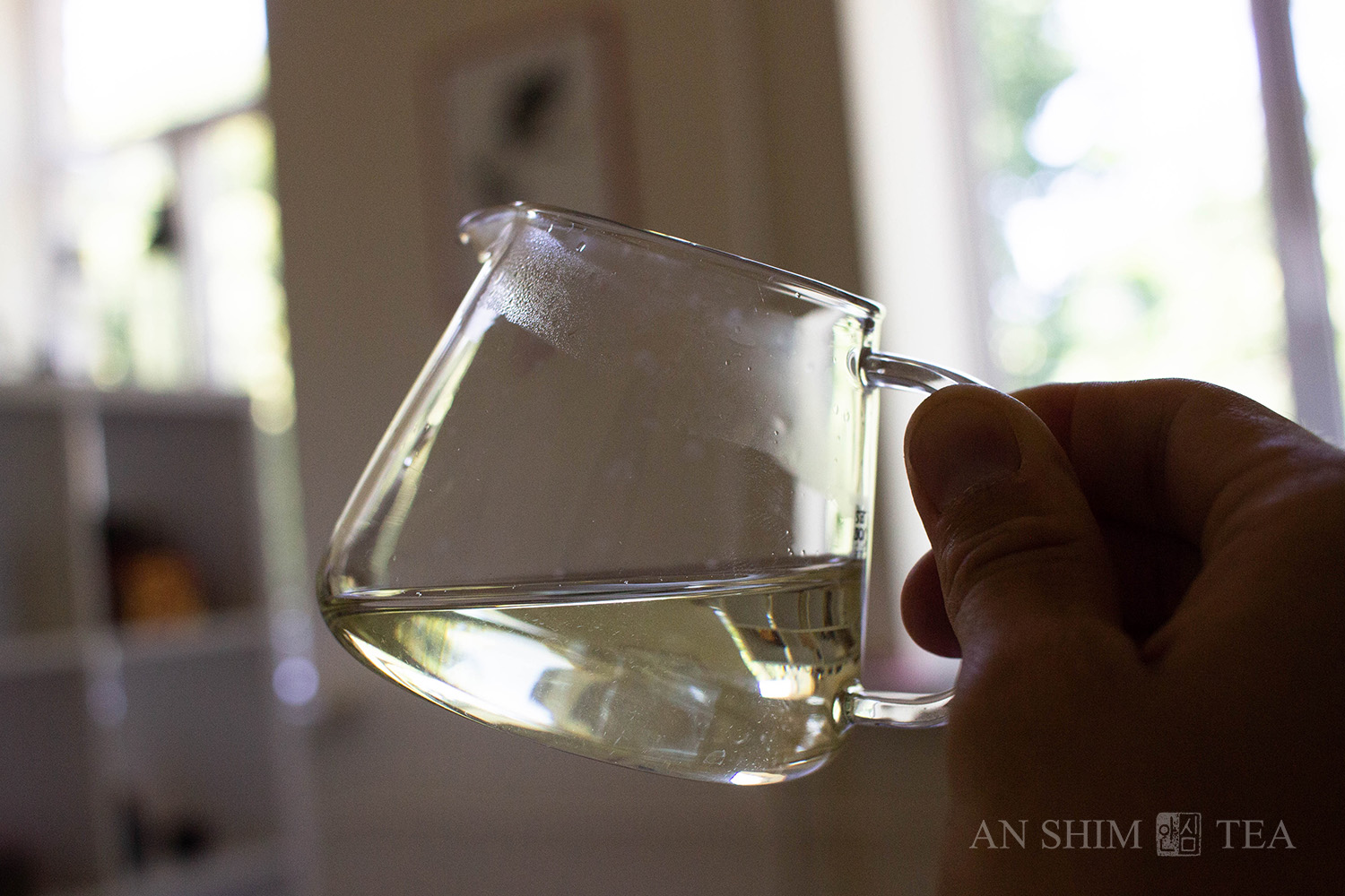 Anji Bai Cha | "White Tea from Anji"