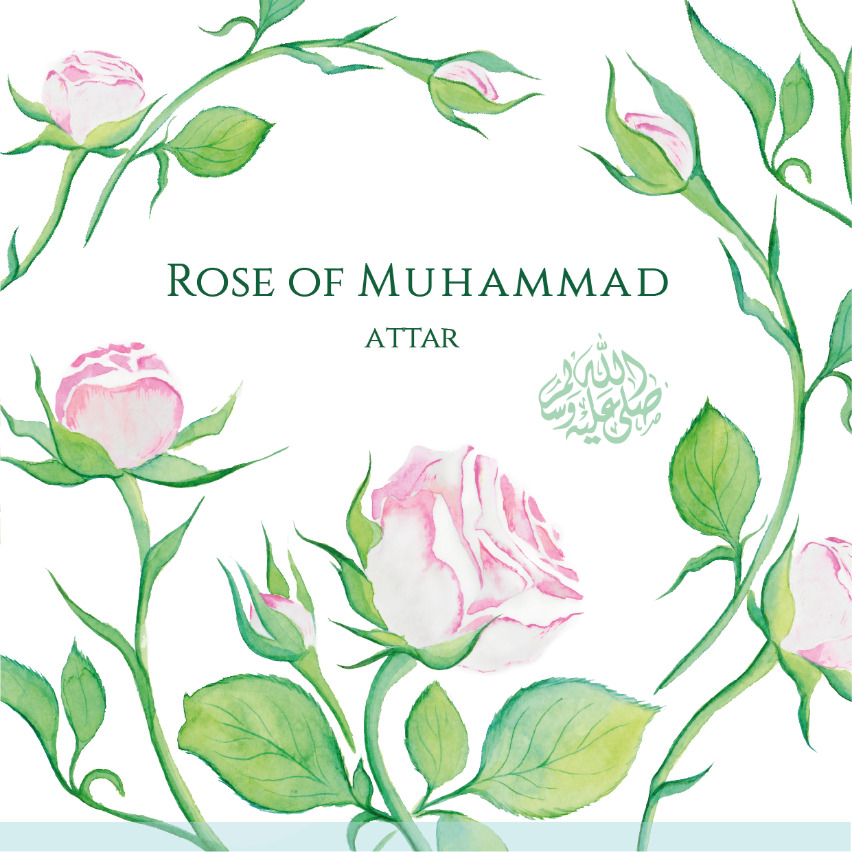 Rose of Muhammad Attar