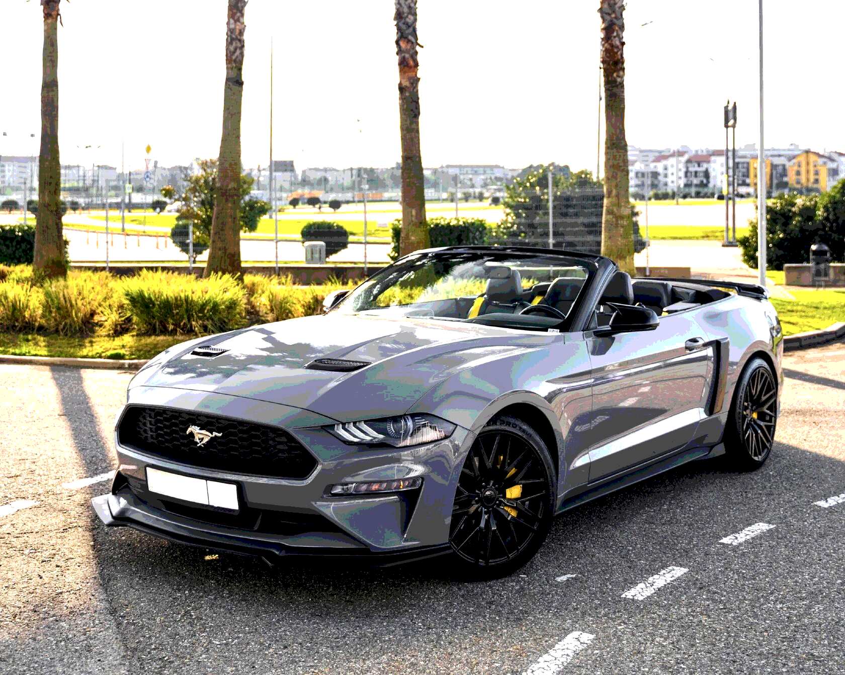 Аренда FORD MUSTANG (Nardo Grey, 317 л.с.) в Сочи | Rich Car