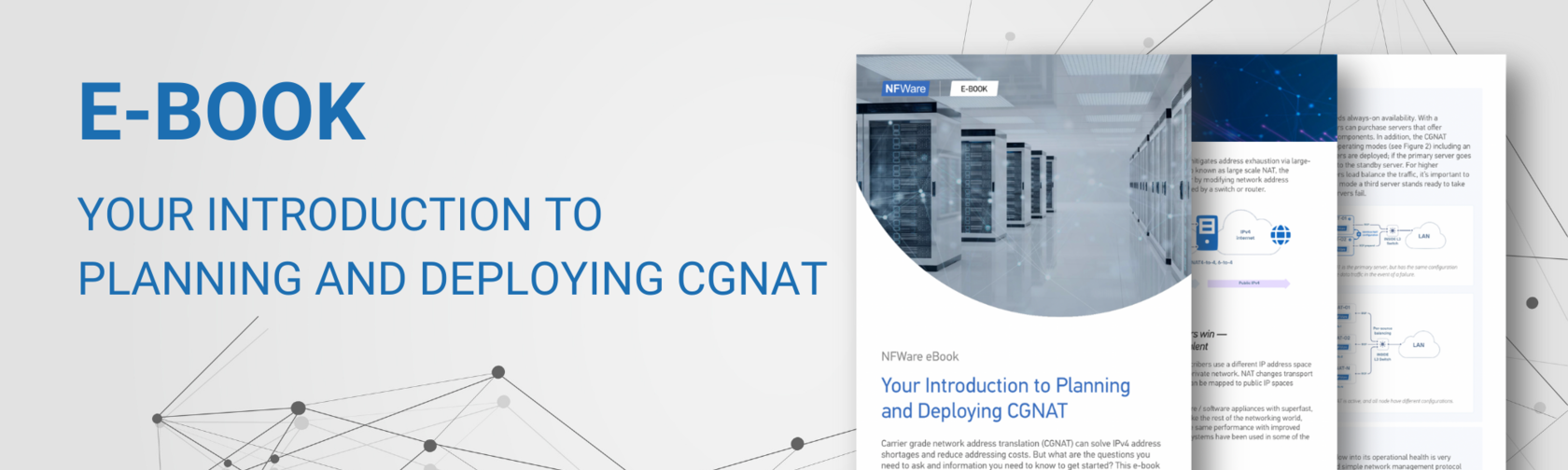 Carrier Grade NAT (CGNAT) | NFWare Carrier Grade NAT (CGNAT) | NFWare