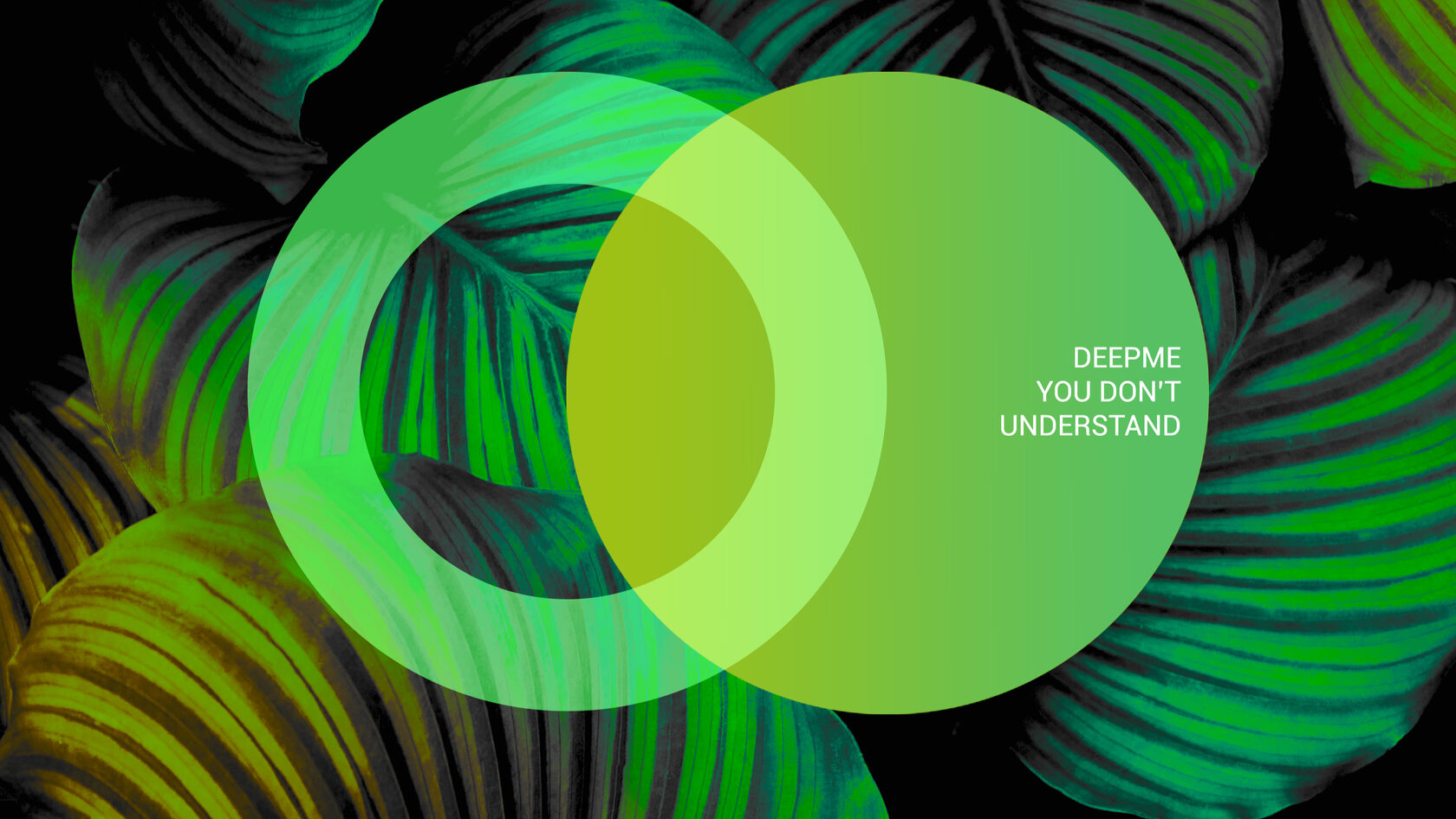 DeepMe: a new level in my freaking life!