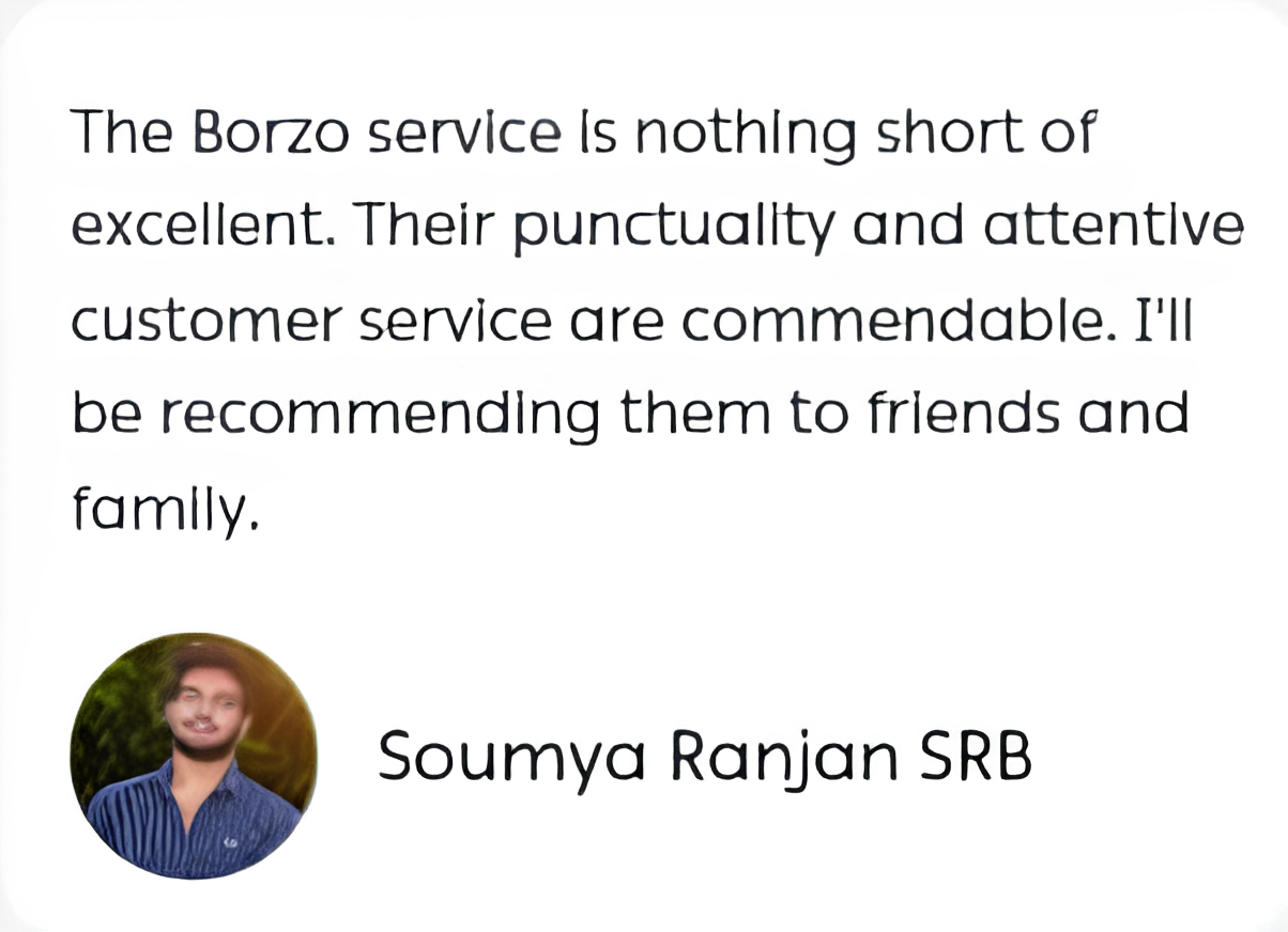 Same-day courier delivery in India | Borzo