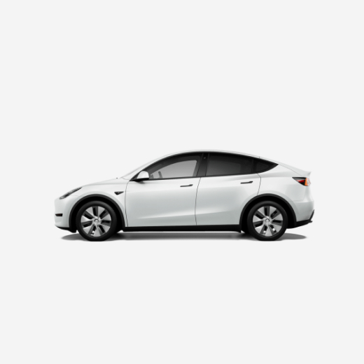 Модели Tesla в России