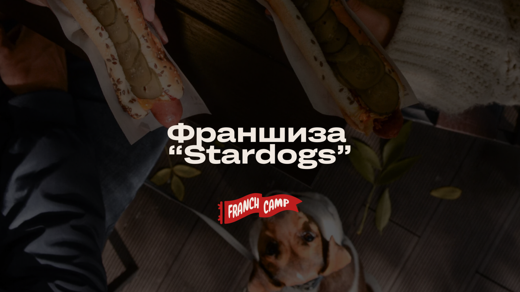 Запусти франшизу Stardogs без вложений
