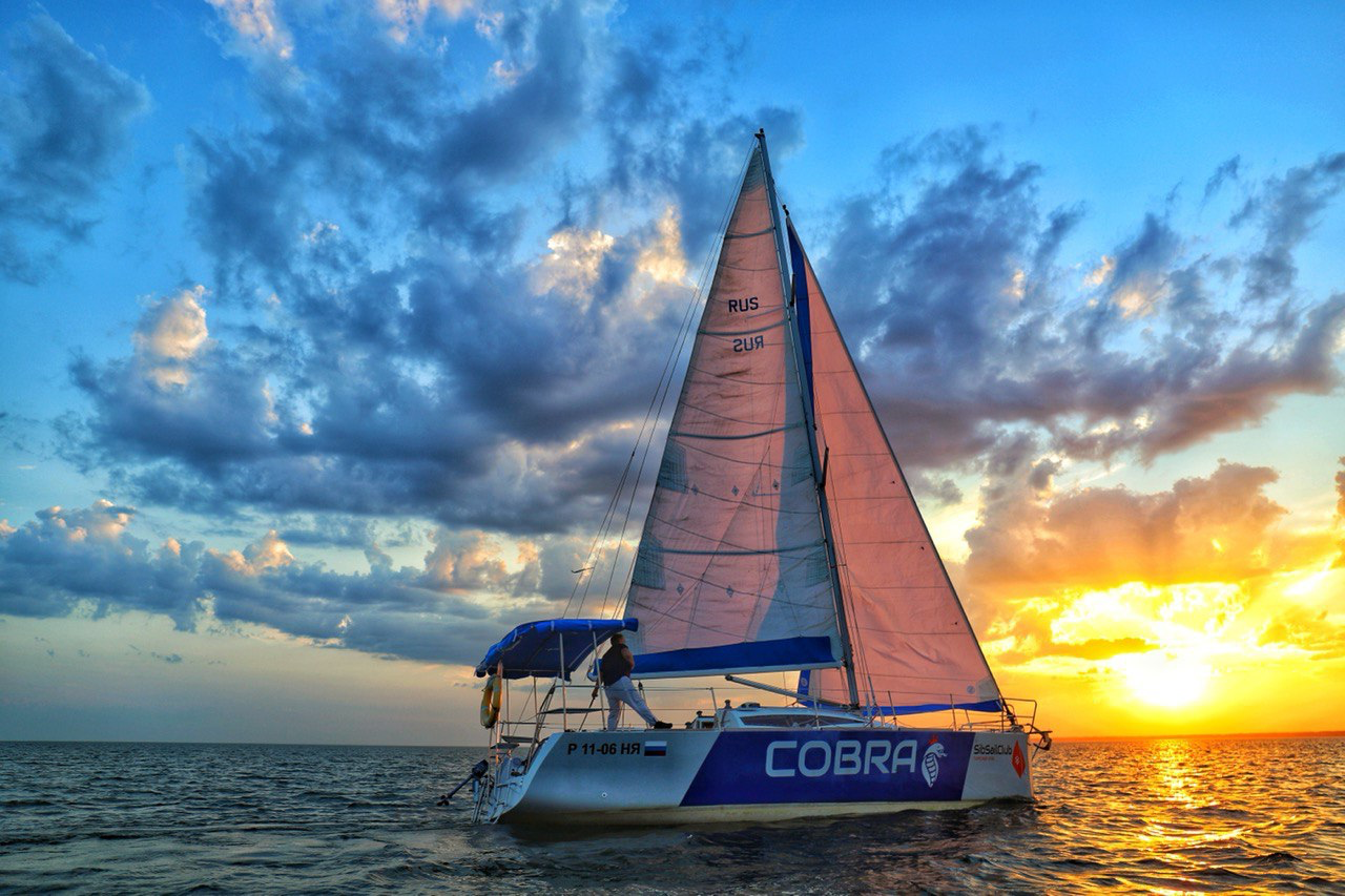 Cobra33