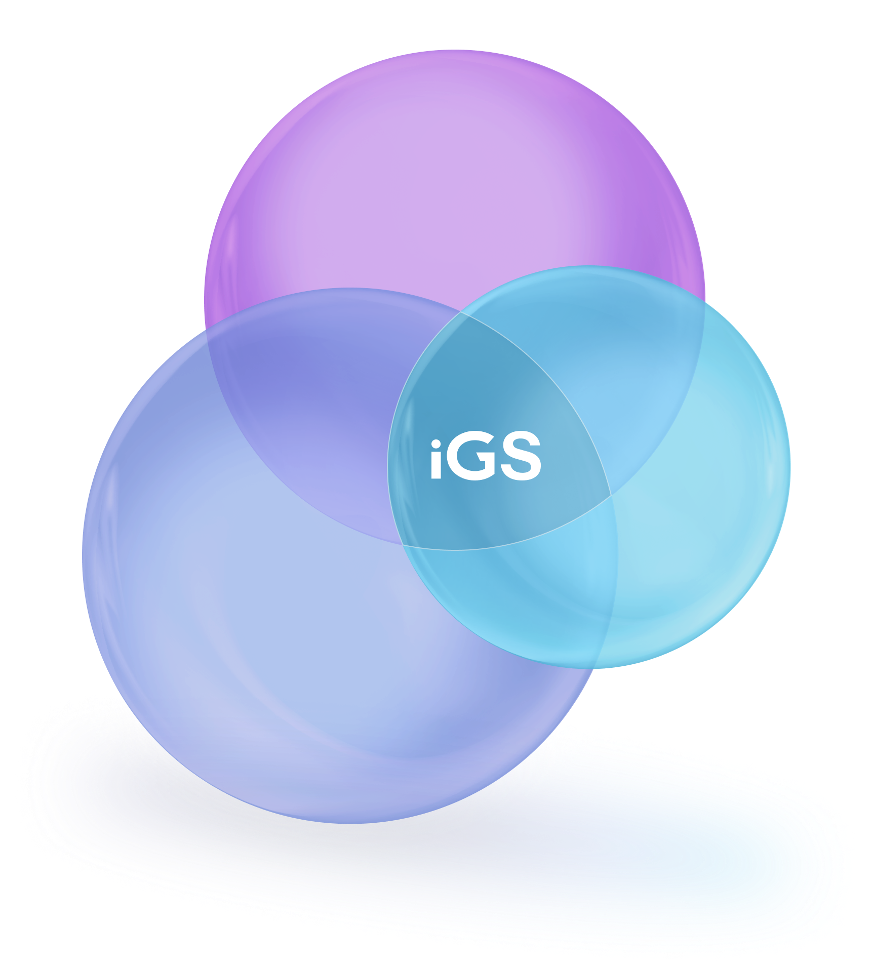 Analytics, Media and Multi-Consulting iGaming Solutions | iGS