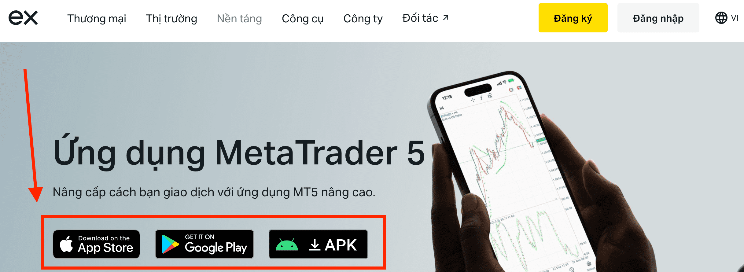 Exness MT5 Mô tả chi tiết giao diện và cách tải nền tảng