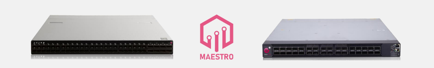 Внедрение Check Point Maestro для простого управление ...