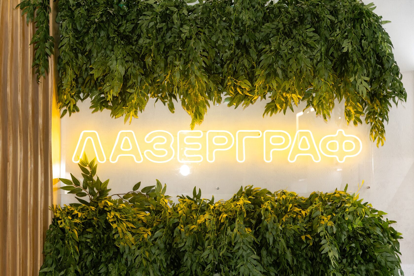 Выставка IPSA 2024. Часть 1