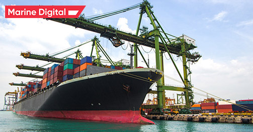 Why your cargo has not yet arrived at the port or the main reasons for ...