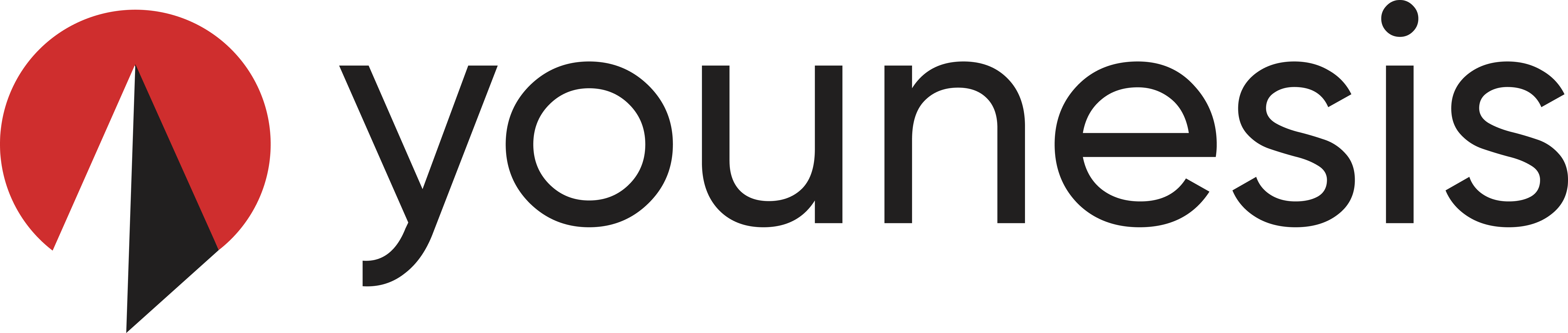 Новогодняя акция Younesis