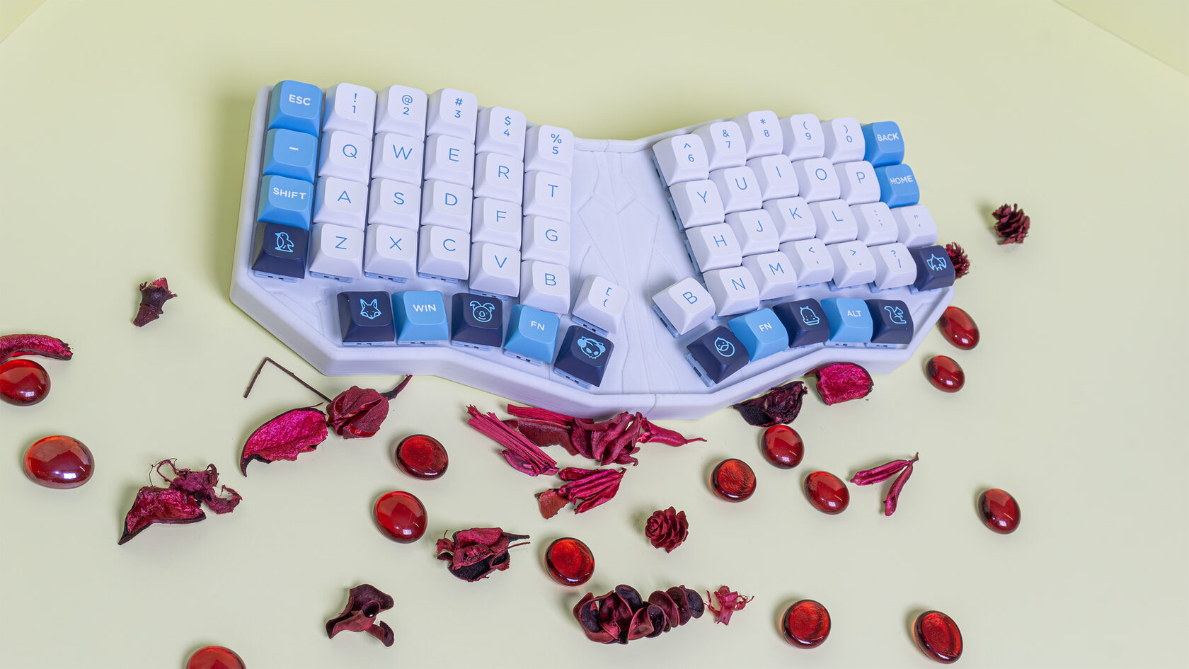 Ergohaven presents: Planeta