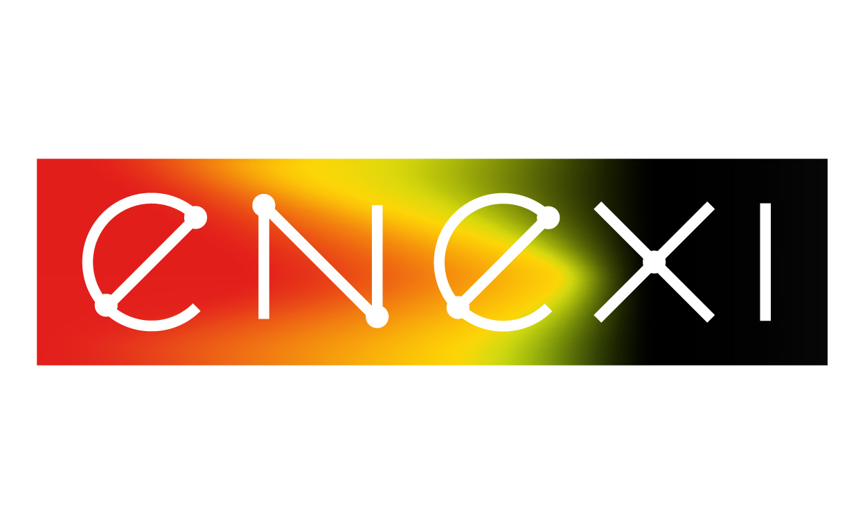 Институт энергетических экспертиз "ЭНЭКСИ"