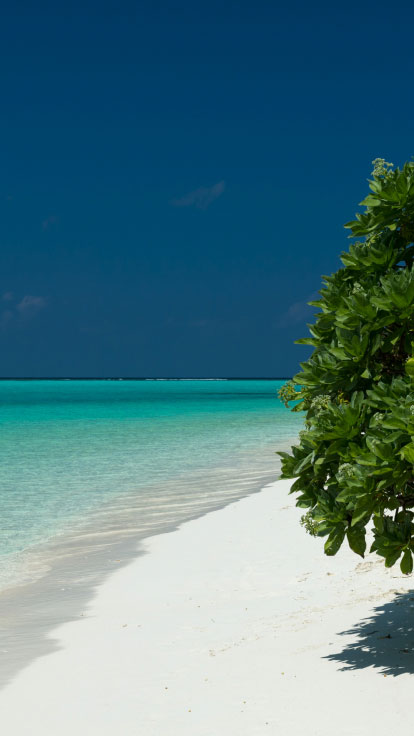 Ahiva Village, Fulhadhoo island, Maldives | Official Hotel Website