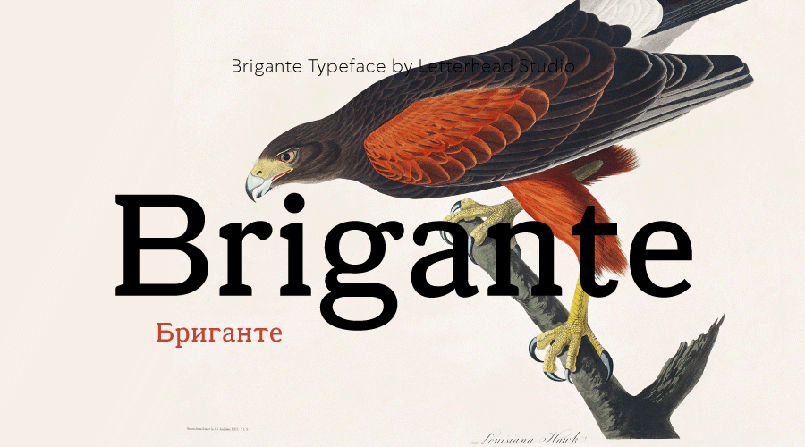 Brigante