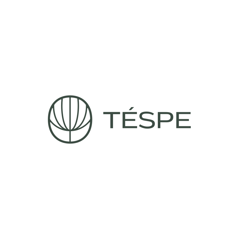 Дизайн и Архитектура: Коммерческие Интерьеры | TESPE