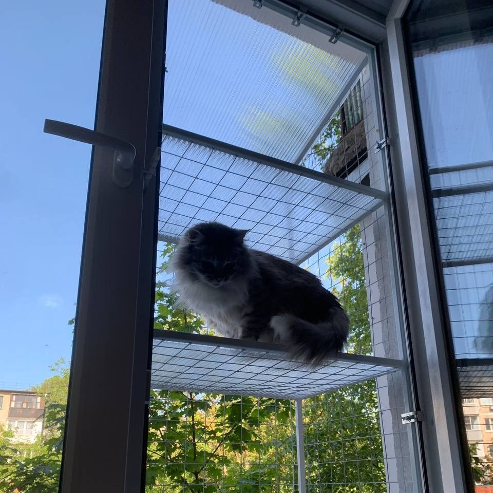 Кошачий балкончик съемный на окно ПВХ и решетка антикошка - Сat’s Kingdom