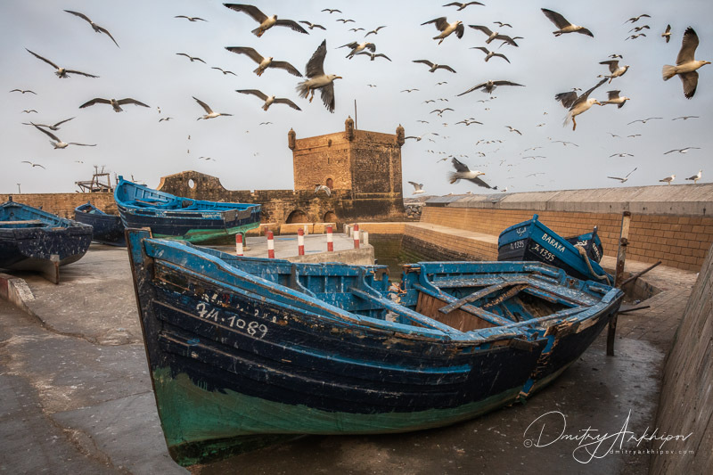 Morocco photo workshop 2026 from the Atlantic to the Sahara