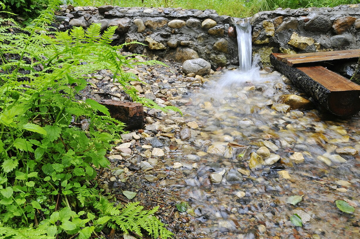 Экотропа «Соколовская» в Валдайском нацпарке: описание, координаты, карта