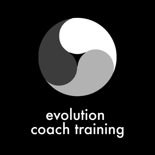 Alex Ivanov: Exec Coaching