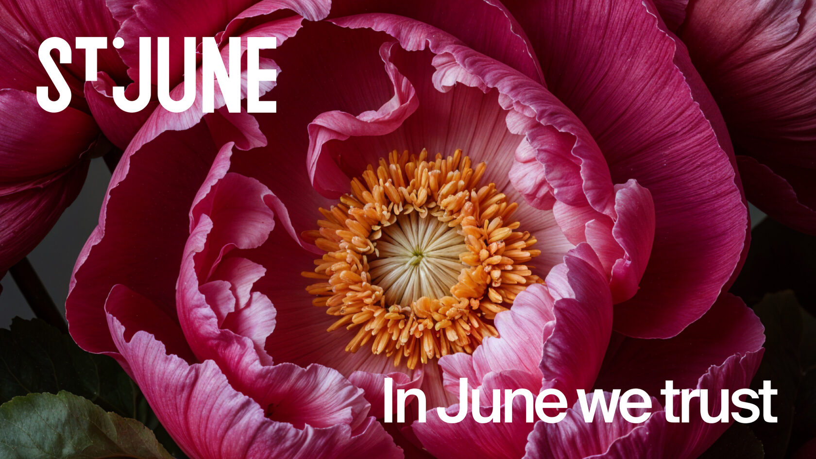 St.June | Творческий союз