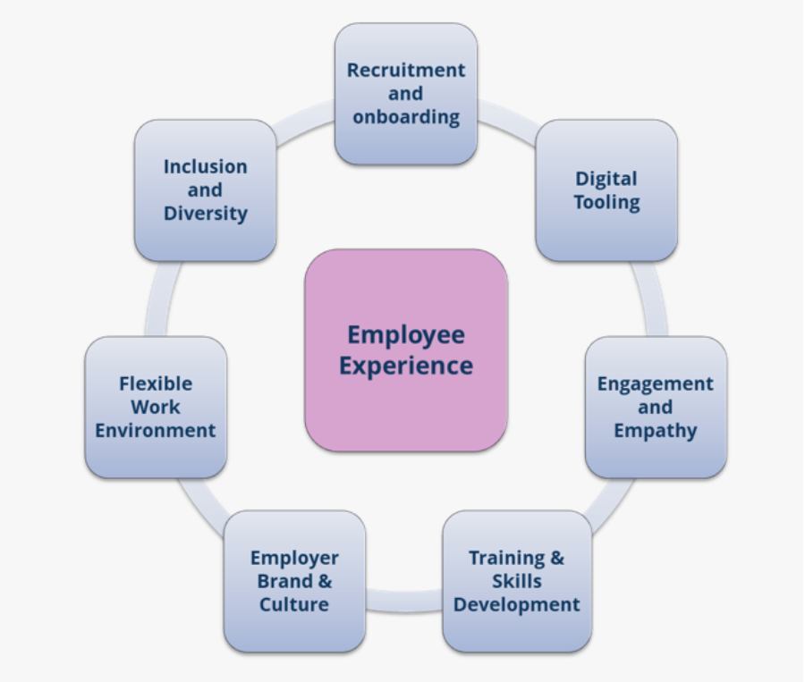 Employee Experience: что это, зачем нужно и как улучшить опыт сотрудников