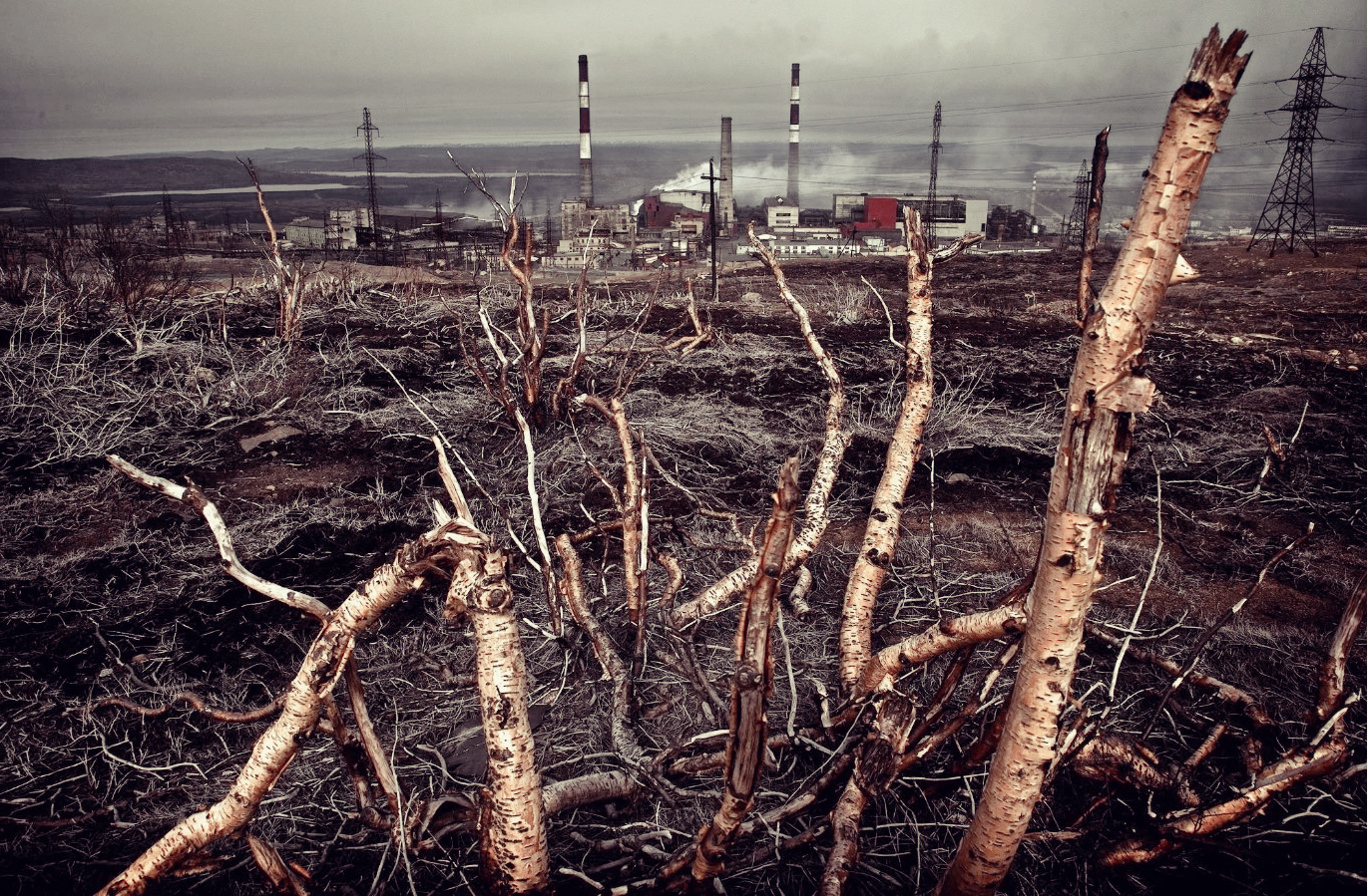 The Unseen Wrath: How Ignorance Towards Nature Evokes Revenge from Spirits