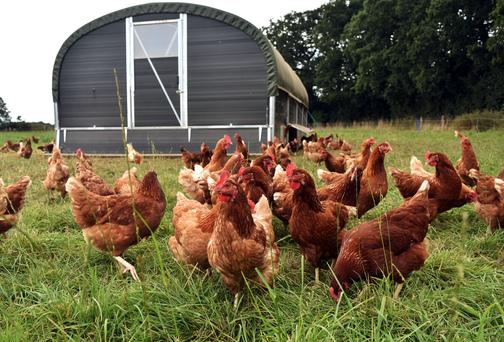 Highfield Farm l St Albans