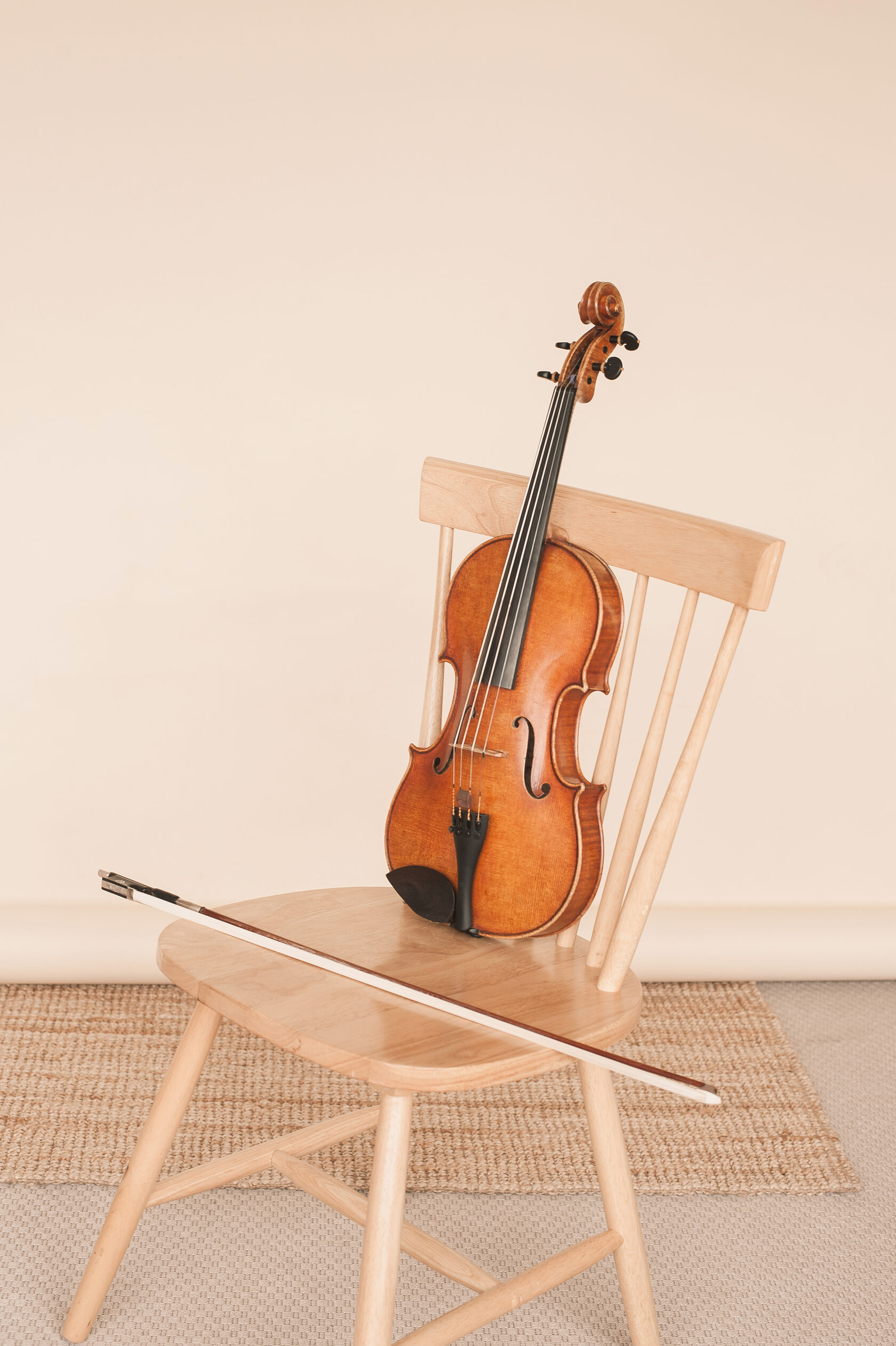 Filippenko Viola School