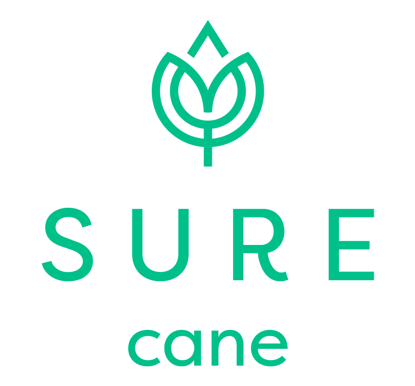 Voronoi Design Co. Brand aesthetics & visual communications.