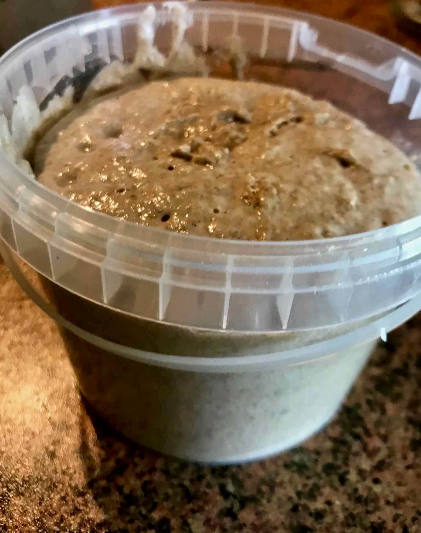 Authentic Northern Rye Bread Recipe with Only Rye Flour, Salt and Water