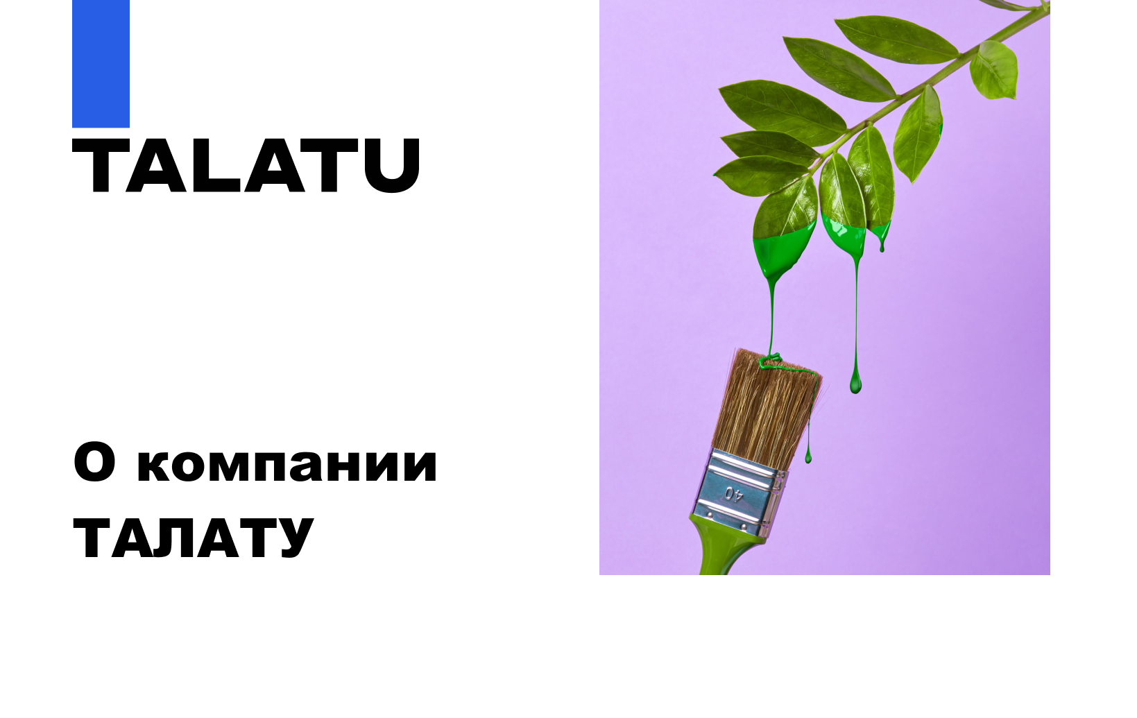О компании TALATU