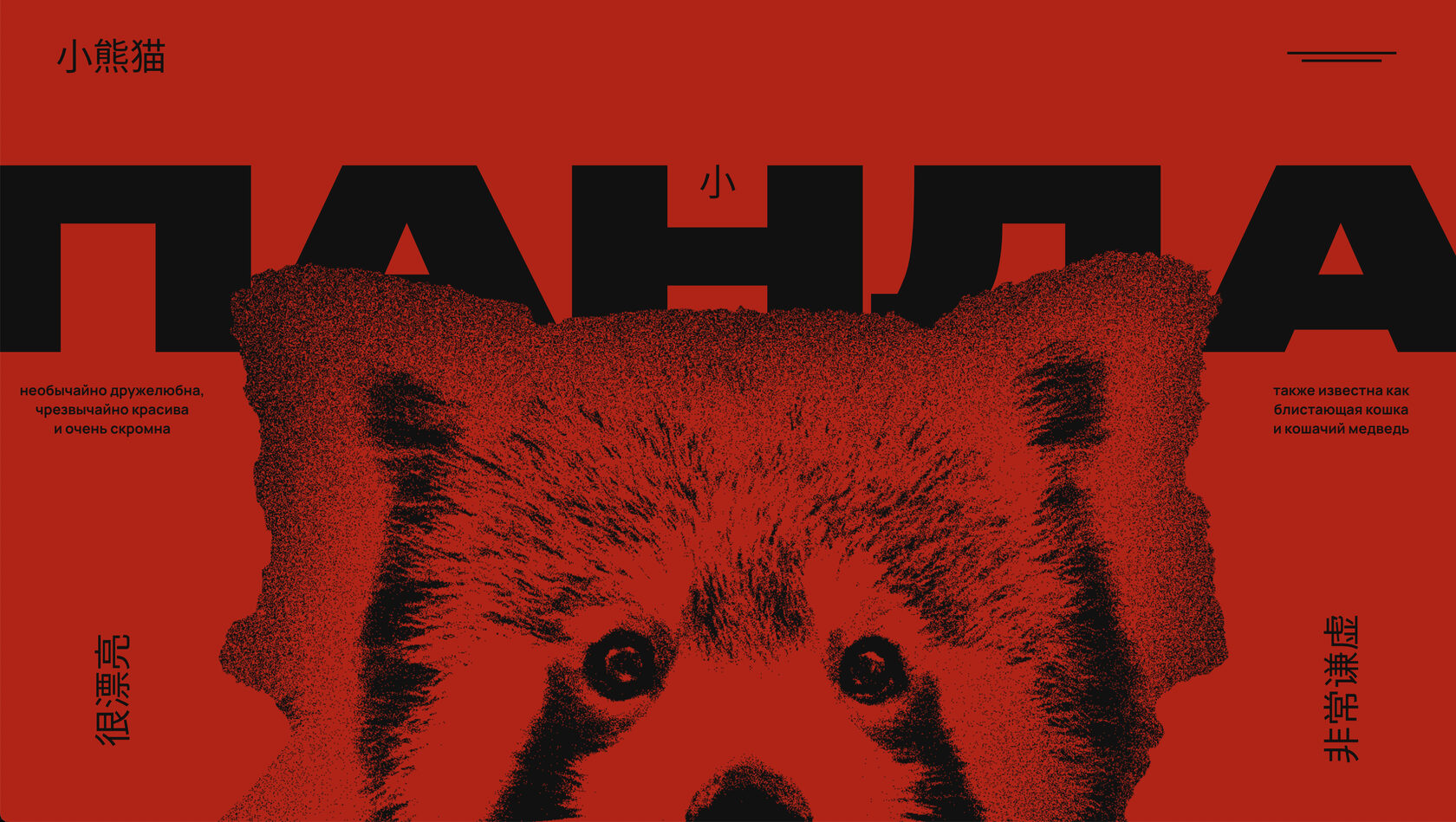 КРАСНАЯ ПАНДА